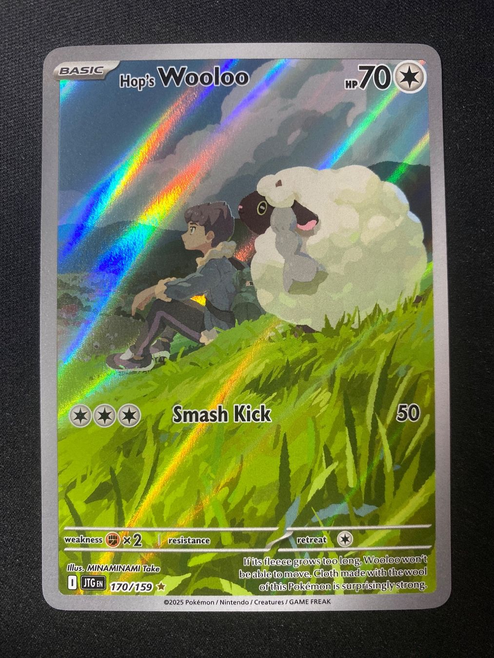 Hop's Wooloo 170 - Hops Wolly - IR - Journey Together - EN (Neu (gemäss ...