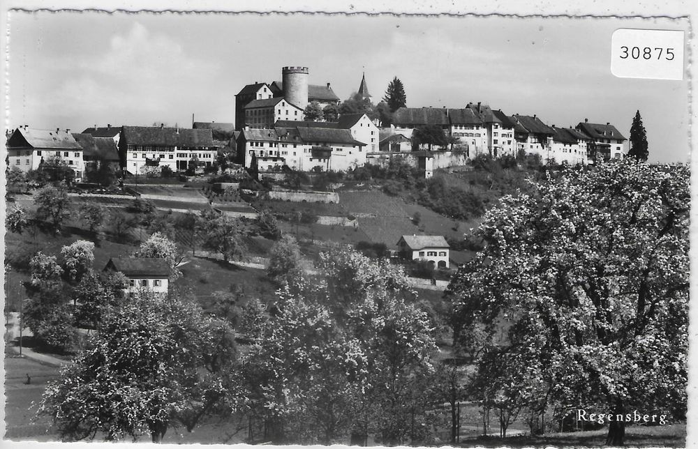 Regensberg - Generalansicht (Gebraucht) in Ettingen für CHF 4 – mit ...