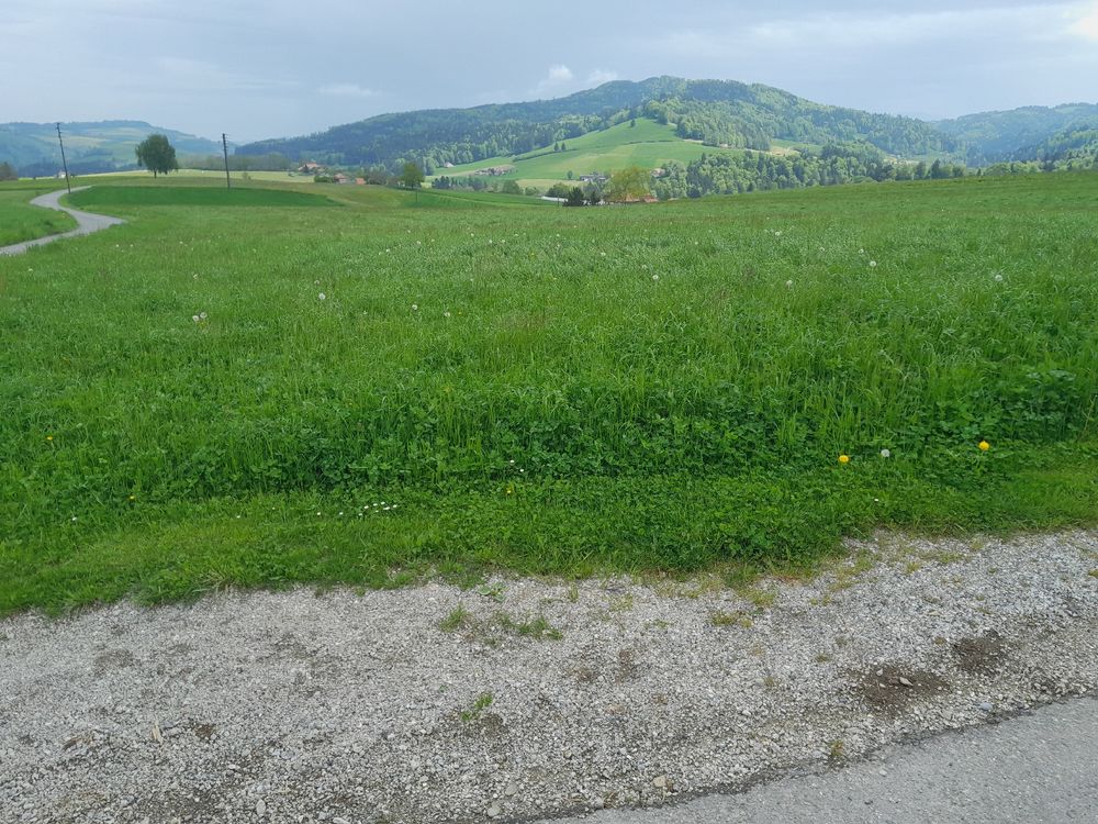 Silorundballen Ufa 340 (Neu und originalverpackt) in Rüschegg-Heubach ...