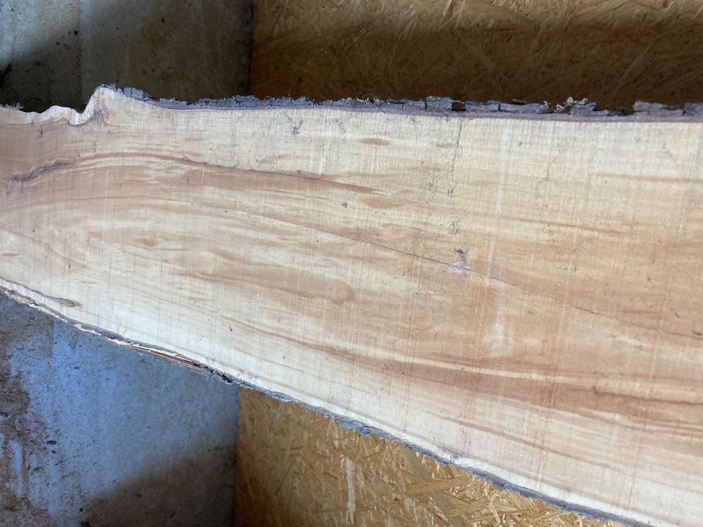 apfelbaum holz (Neu (gemäss Beschreibung)) in für CHF 170 – nur ...