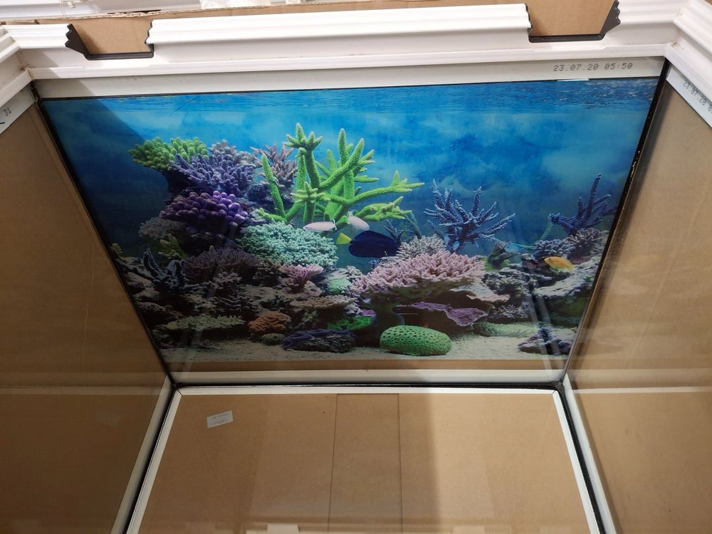 Aquarium Eheim Vivaline 150L, weiss (Gebraucht) in Emmenbrücke für CHF ...