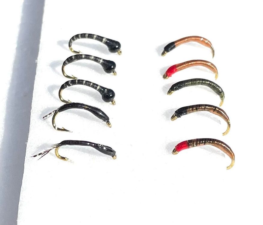 Nymphen für Hegenen (10 Stk.) Gr. 14 | Kaufen auf Ricardo