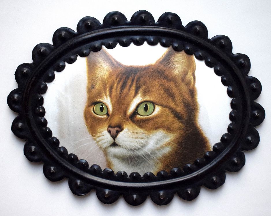 Tolles Emailbild Katze Emailschild oval gerahmt | Kaufen auf Ricardo