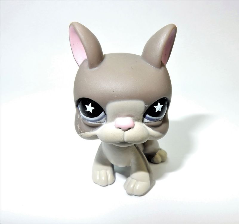 LPS - Littlest Pet Shop - Boston Terrier - Nr. 958 - 2004 | Kaufen auf ...