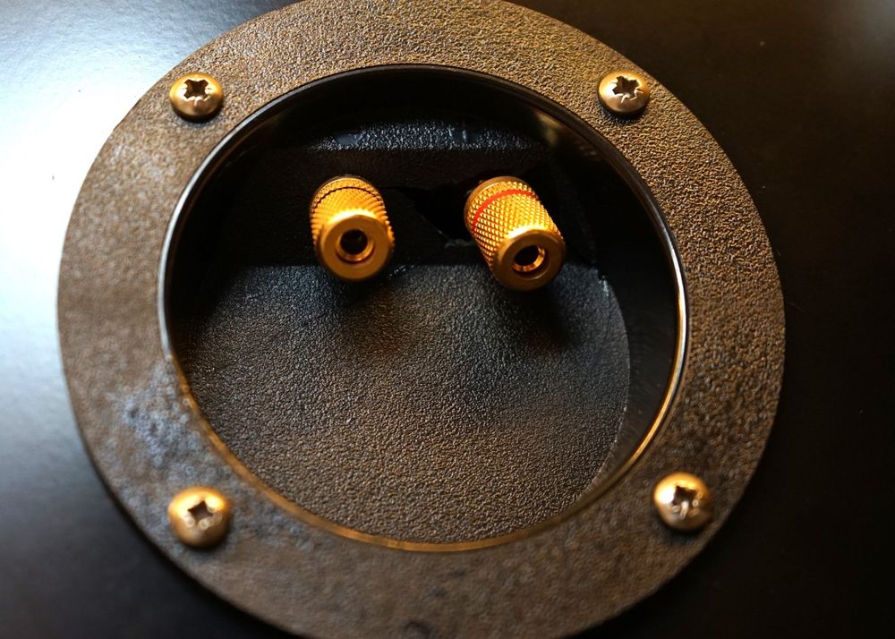 ACR RP300 Lautsprecher | Kaufen auf Ricardo