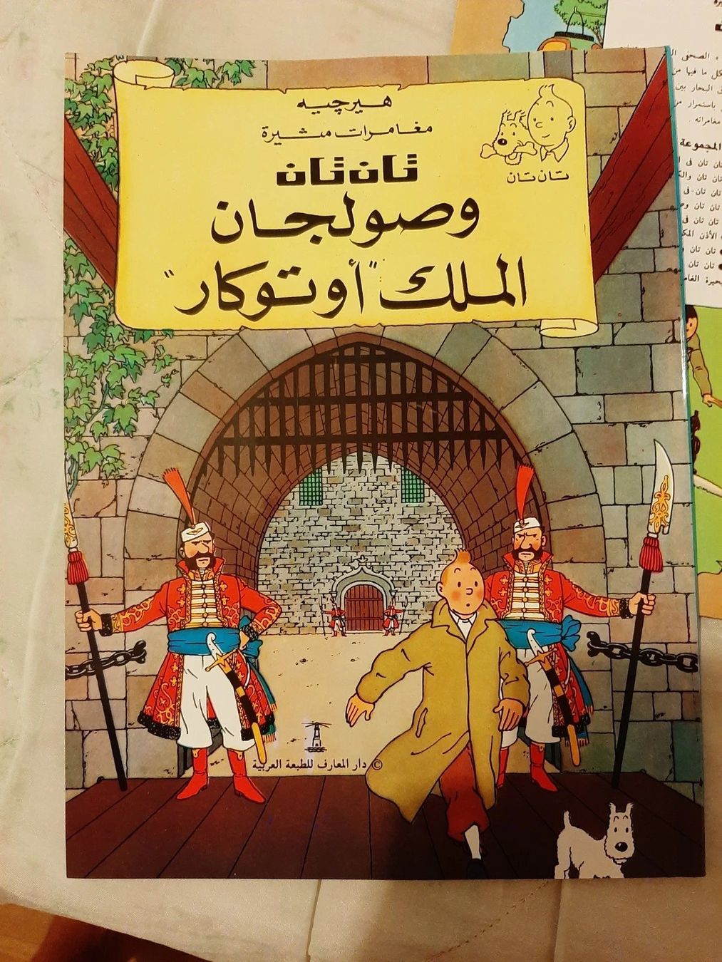 Tintin en Arabe- Tim und Struppi- Le sceptre d'Ottokar (Neu und ...