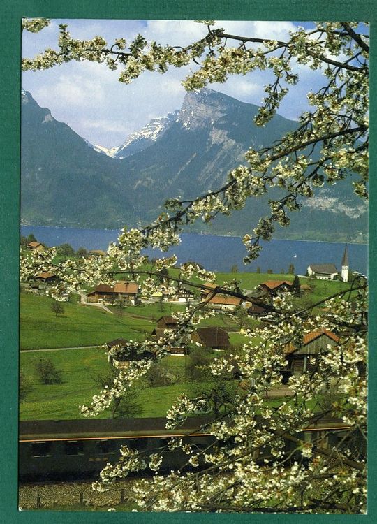 Spiez am Thunersee (Gebraucht) in Sargans für CHF 1 – mit Lieferung auf Ricardo kaufen