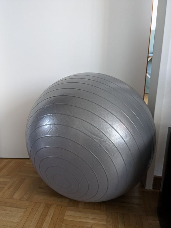 Gym ball grau Gorilla Sports | Kaufen auf Ricardo