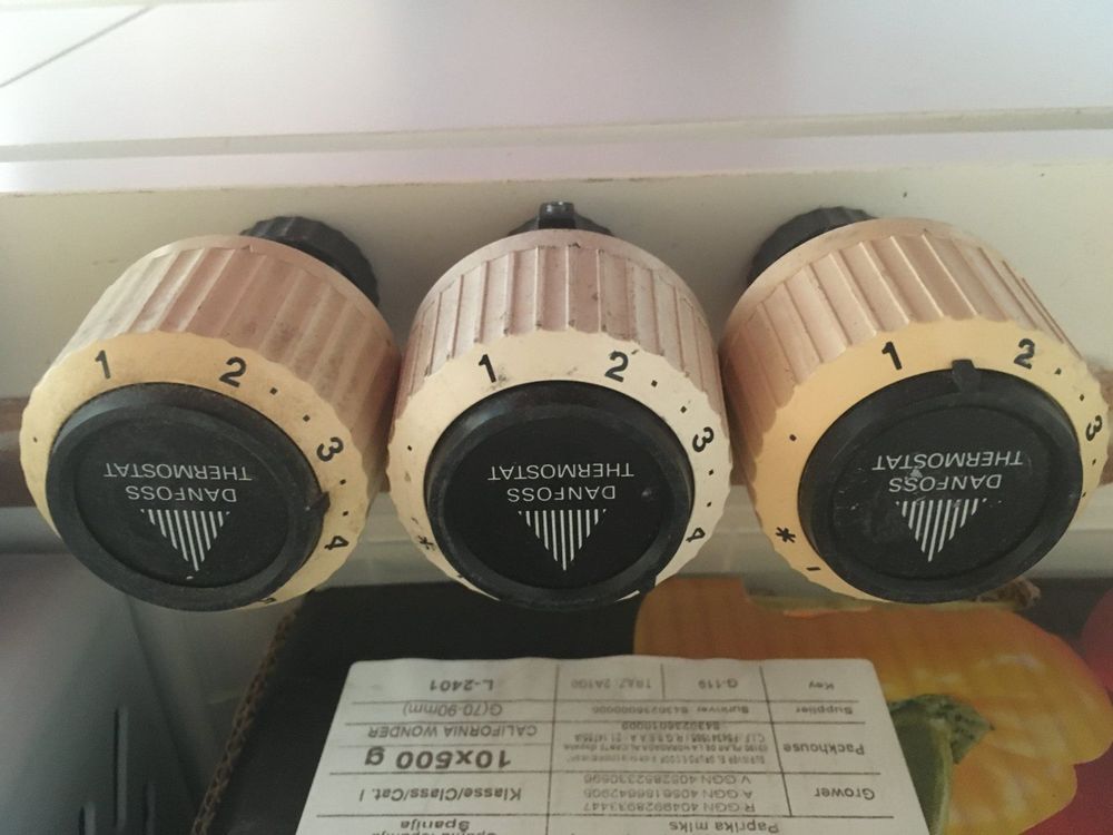 1x Thermostat Danfoss RA2000 Imbus | Kaufen auf Ricardo