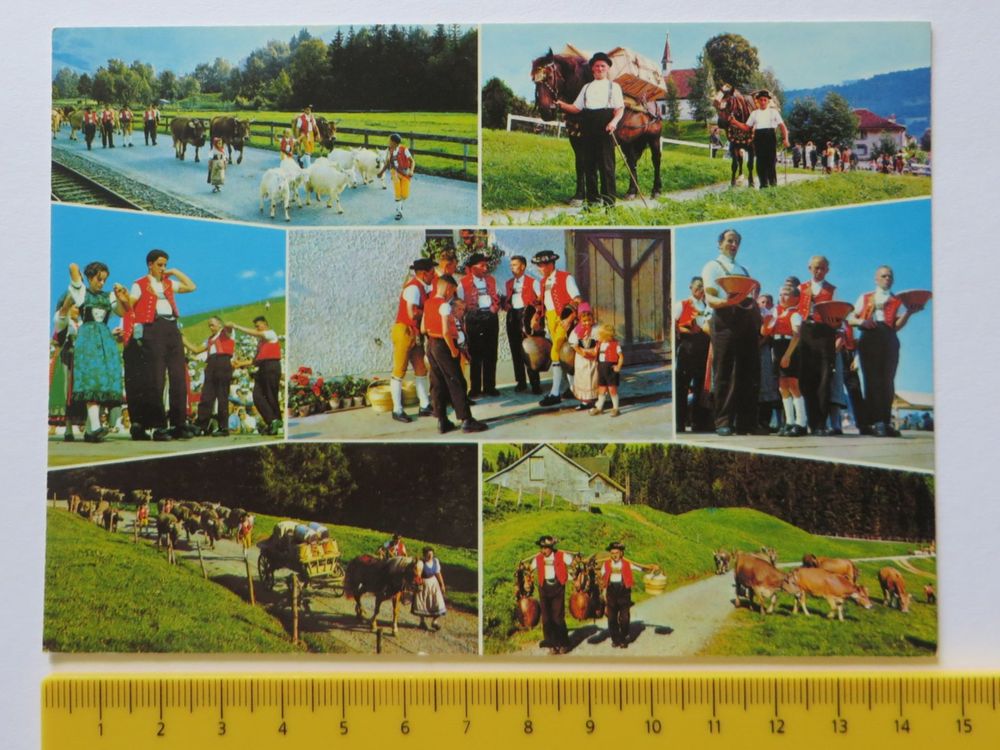 AK,CPA, APPENZELLER ALPFAHRT, TRACHTEN, KUH ZIEGEN PFERD | Kaufen auf ... AK,CPA, APPENZELLER ALPFAHRT, TRACHTEN, KUH ZIEGEN PFERD | Kaufen auf ...