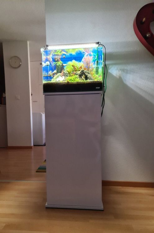 Scaper's Tank 70 L inkl. Unterschrank (Gebraucht) in Bülach für CHF 499 ...
