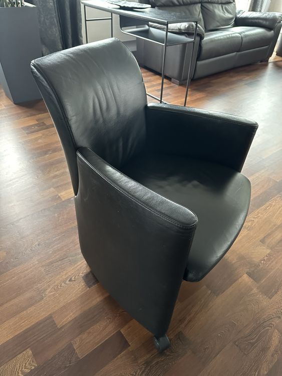 Leder 6.Stühle LEOLUX | Kaufen auf Ricardo