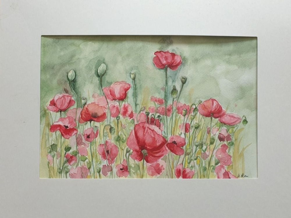 Watercolor Mohnblumen (Neu (gemäss Beschreibung)) in Hedingen für CHF 49 – mit Lieferung auf ...