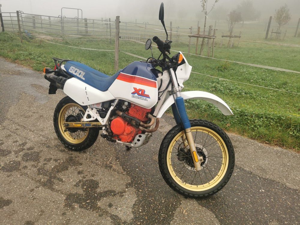 Honda XL600 LM (Gebraucht) in kestenholz für CHF 2147 – nur Abholung ...
