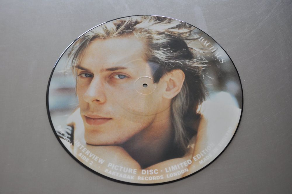 BAUHAUS LP PICTURE DISC - INTERVIEW - EDITION LIMITEE - RARE (Gebraucht ...