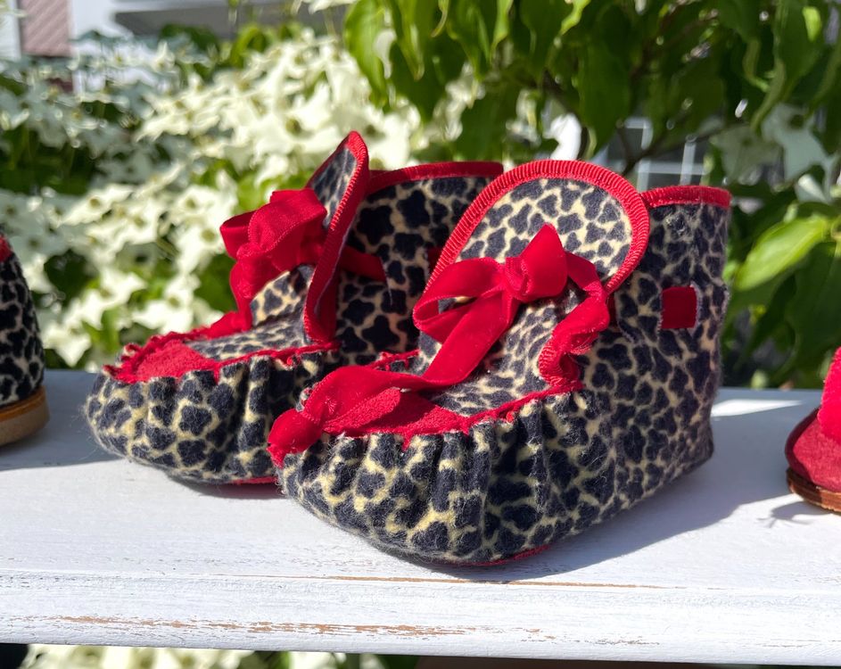 HERZIGE ÄLTERE TIGERFINKLI | Kaufen auf Ricardo