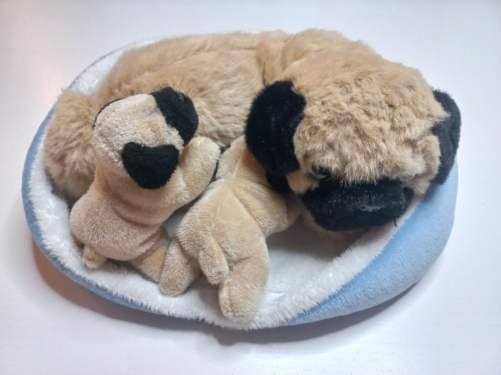 Mops Plüschtier Familie mit Körbchen (Gebraucht) in Sisseln AG für CHF ...