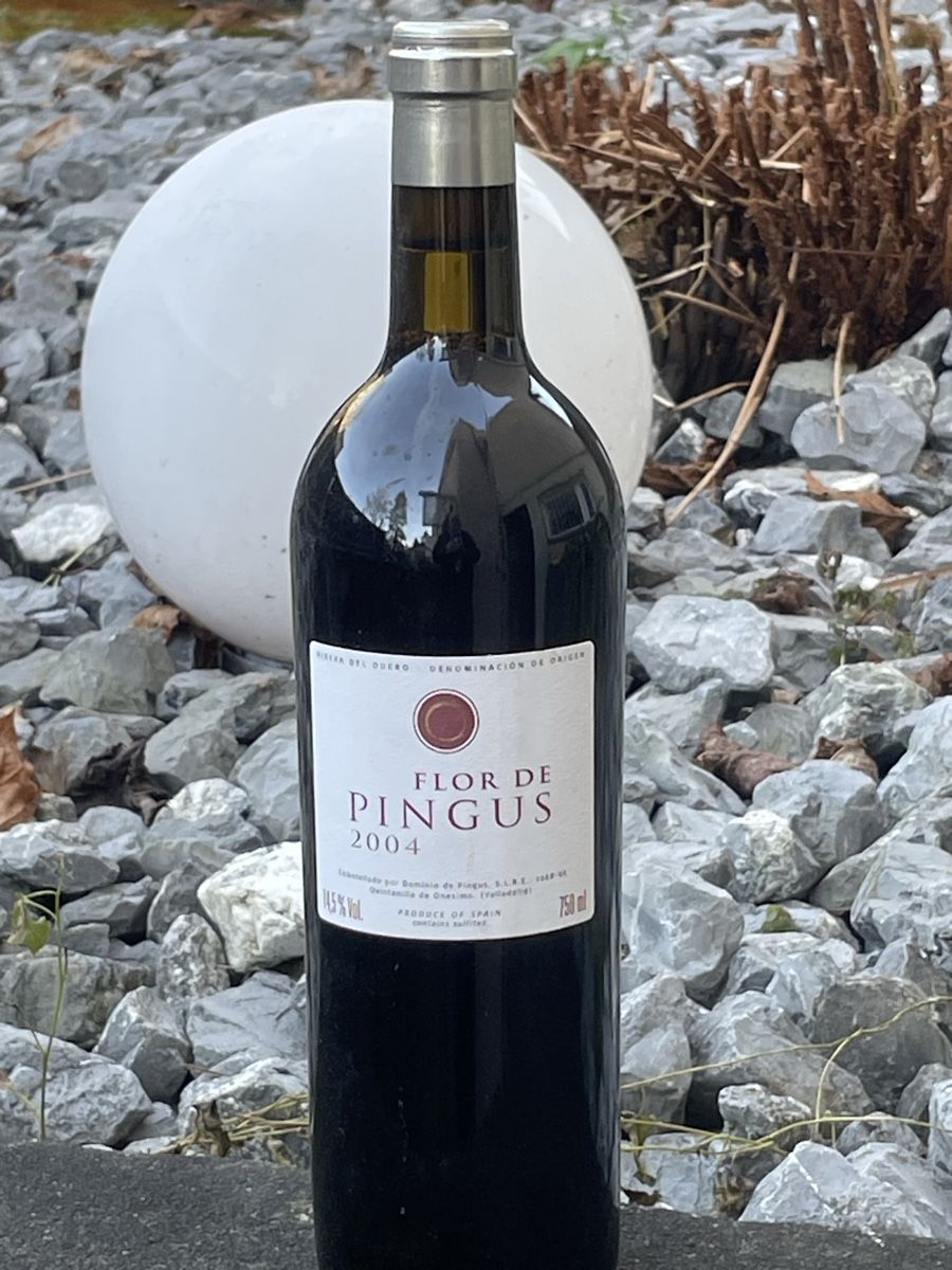 Flor de Pingus 2004 Ribera del Duero Rotwein Spanien Top (Neu (gemäss ...