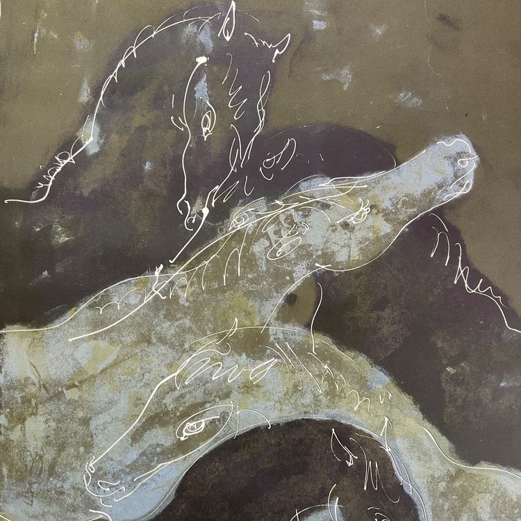 Hans Erni - Litho 105 x 75 cm. (Gebraucht) in Pieterlen für CHF 105 – mit Lieferung auf Ricardo ...