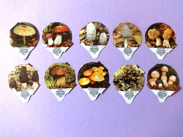 Série 620 (Attaches) - Champignons (40) (D'occasion) à Fétigny pour CHF ...