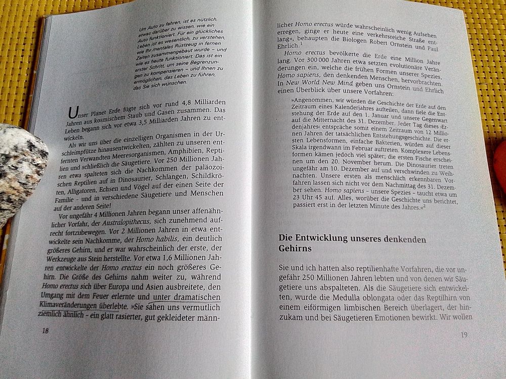 Anleitung Zum Glücklichsein Finde Dein Pers Lebensglück Kaufen Auf