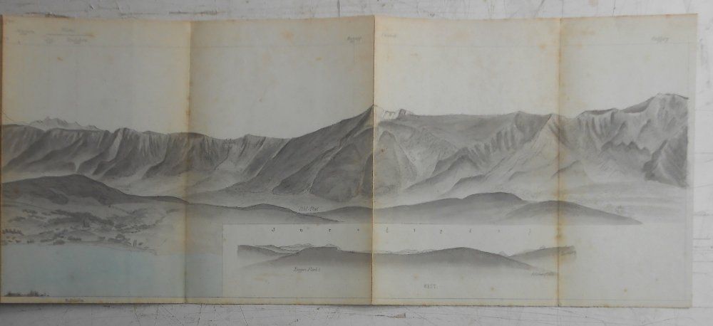 Albert Heim. Gebirgs - Panorama vom Zürichberg. 1866. | Kaufen auf Ricardo