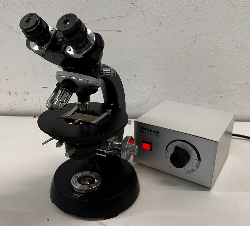 Zeiss/Winkel Binokularmikroskop 150757 mit Wild Heerbrugg PS (Gebraucht ...