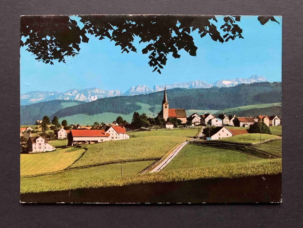AK Kurort STEIN AR Blick zum Alpstein mit Säntis (Gebraucht) in Goldau für CHF 3 – mit Lieferung ...
