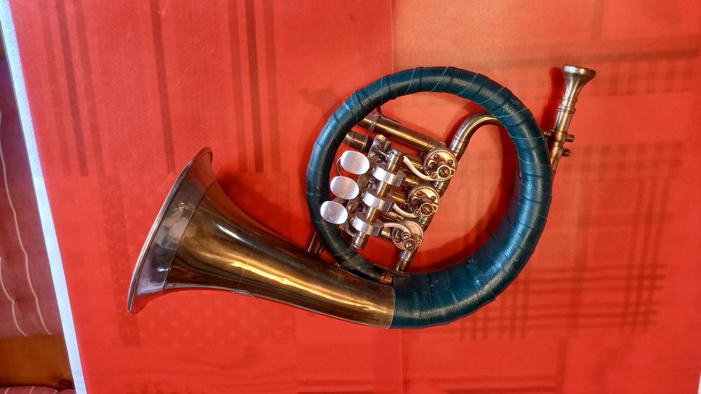 Cor de chasse à cylindres Fürst-Pless | Kaufen auf Ricardo