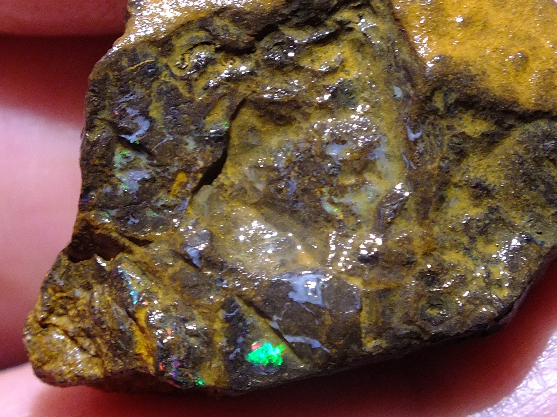 BOULDER ROH OPAL 42.50 Karat Gebot 1.- Elektrisch Rot feuer (Neu und ...