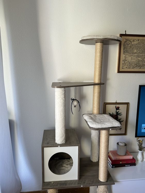 Katzenbaum modern und neu (Neu (gemäss Beschreibung)) in Zürich für CHF ...