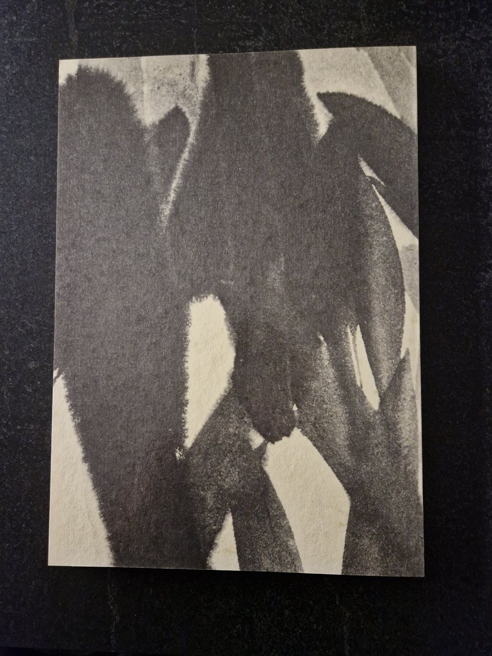 Wie lerne ich japanische Tuschmalerei (Sadami Yamada) (Gebraucht) in ...