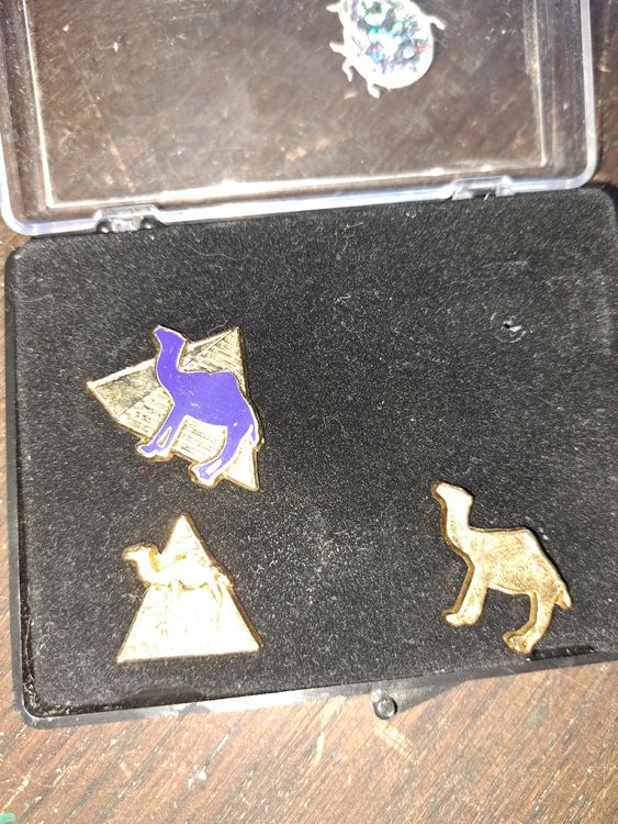 camel Pins 1993 (Gebraucht) in Kölliken für CHF 20 – mit Lieferung auf ...