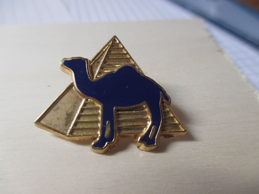 Camel Zigaretten Pin (Neu (gemäss Beschreibung)) in Felsberg für CHF 0. ...