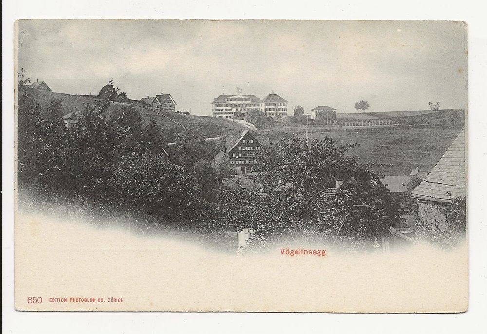 VÖGELINSEGG AR | Kaufen auf Ricardo