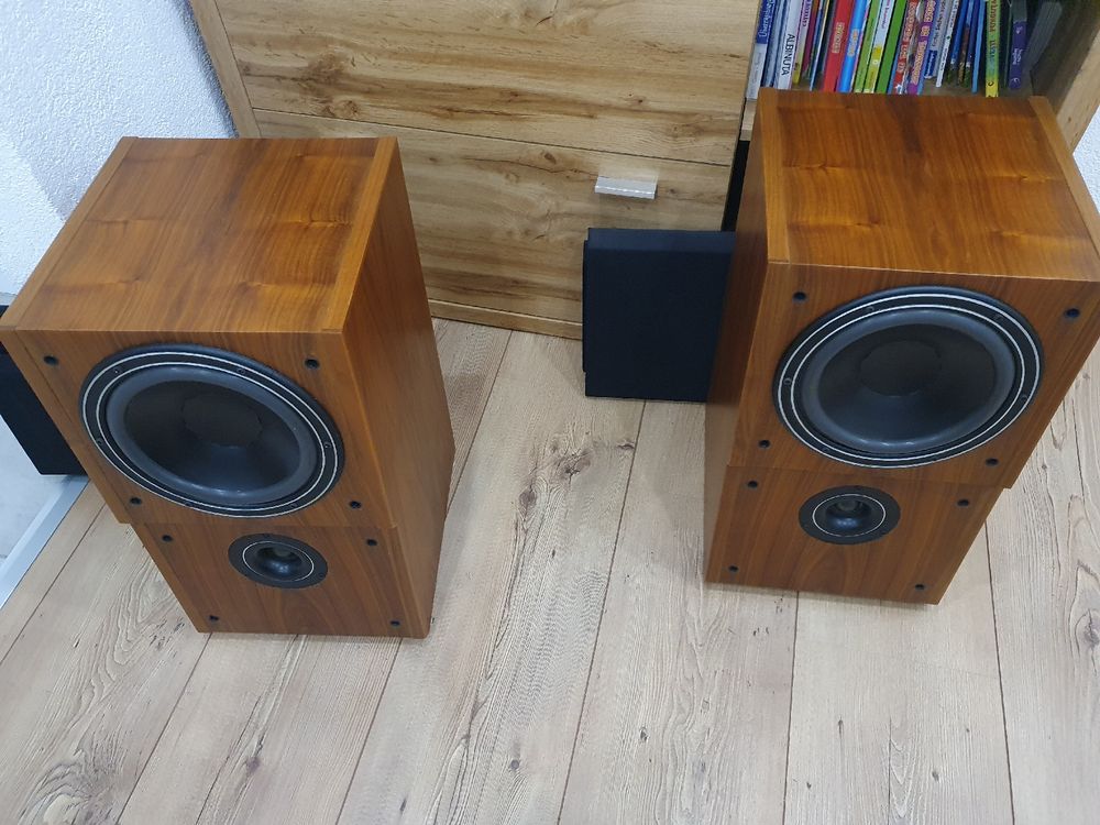 Dynaudio MPS-100 Top! Revidiert! (Gebraucht) in Arbon für CHF 275 – mit ...