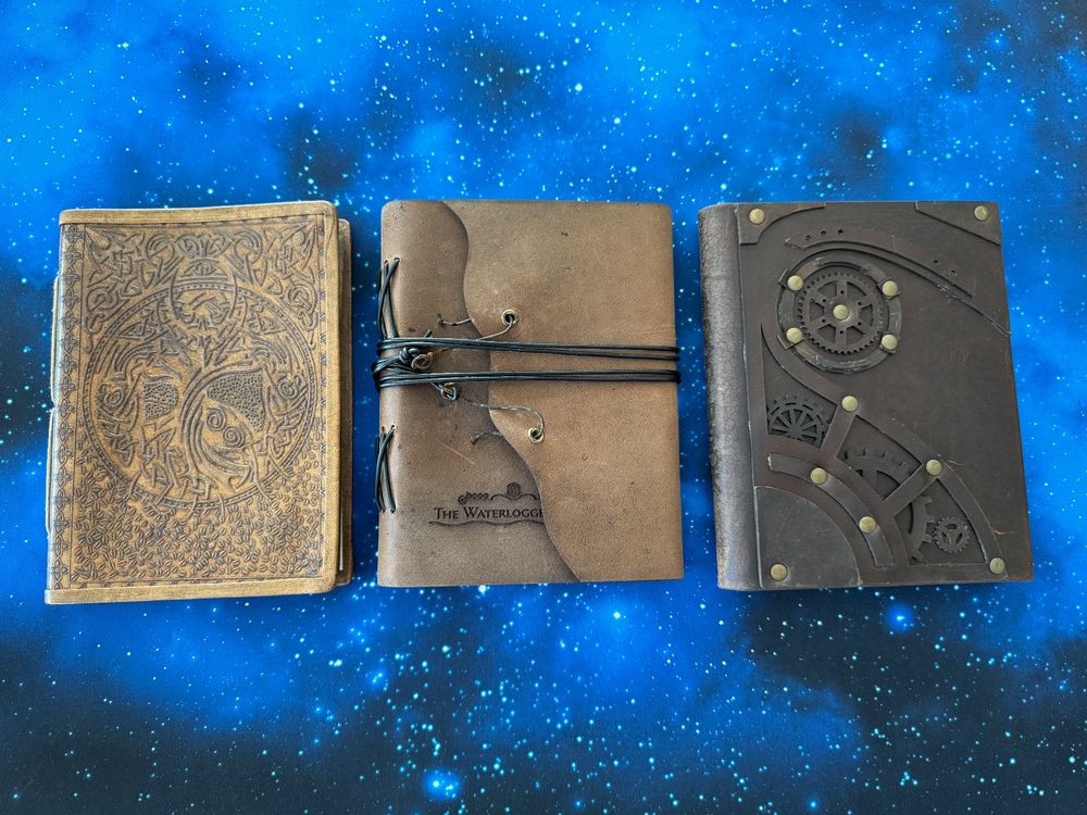 Too Many Bones Logbook / Waterlogged Book / Cog Book (Neu (gemäss ...