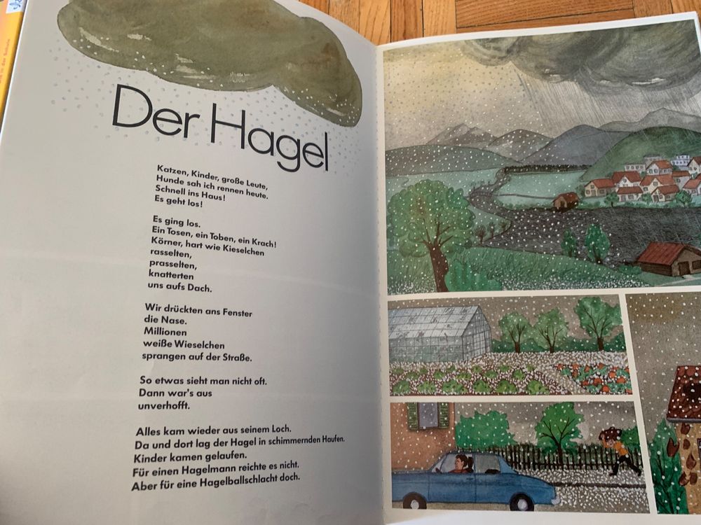 Wenn es regnet,lach mein Schirm Veronika Zacharias (Gebraucht) in Uster ...