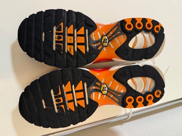 Nike Air Max Plus (TN)“Light Photography” Gr.43 (Gebraucht) in Baar für ...