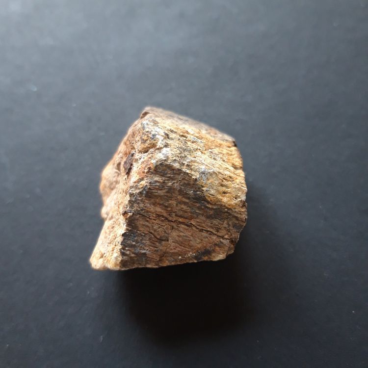 echter Dinosaurier-Knochen, Versteinerung, Dino-Fossil (D'occasion) à ...