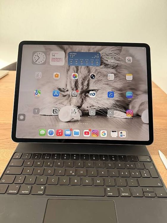 iPad Pro ( 12,9 Zoll, 4 Generation 128 GB (Gebraucht) in Adligenswil ...