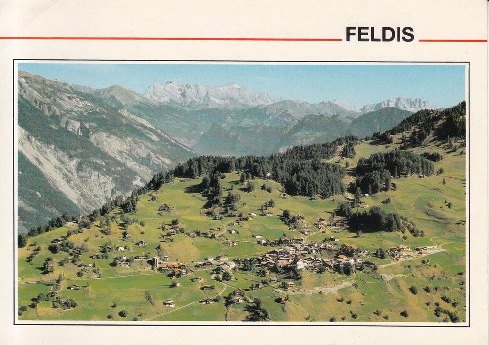 Feldis 1989 | Kaufen auf Ricardo