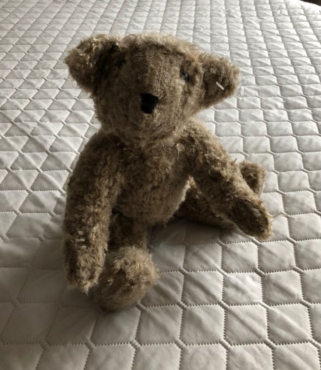 Teddybär Vintage Holland (Gebraucht) in für CHF 20 – mit Lieferung auf ...