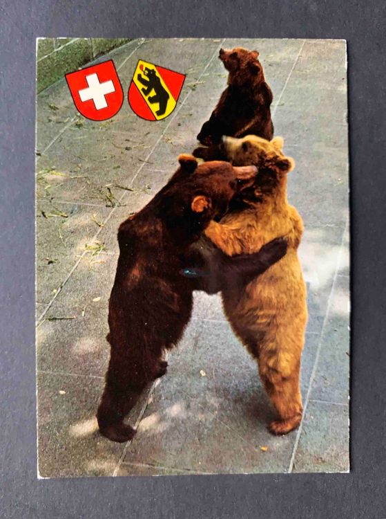 AK Bern Bärengraben (Gebraucht) in Goldau für CHF 2 – mit Lieferung auf Ricardo kaufen