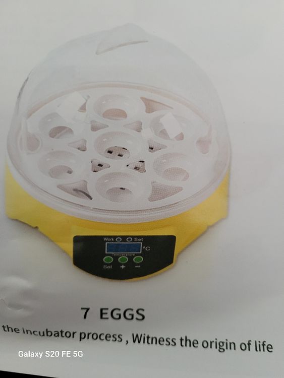 Mini incubator Smart | Kaufen auf Ricardo