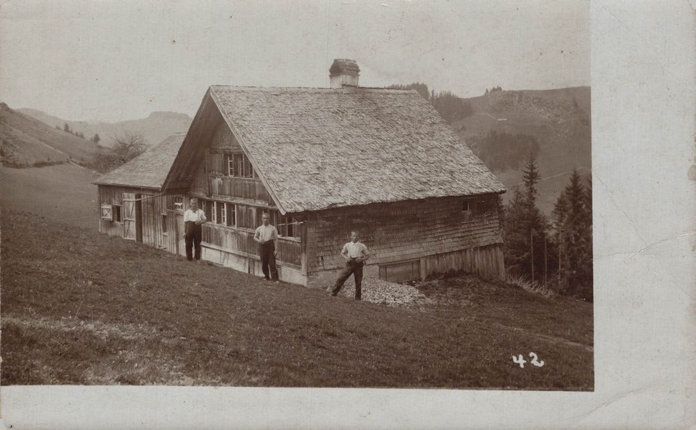 Bauernhaus mit Scheune, Bauern (Gebraucht) in Bronschhofen für CHF 23 – mit Lieferung auf ...