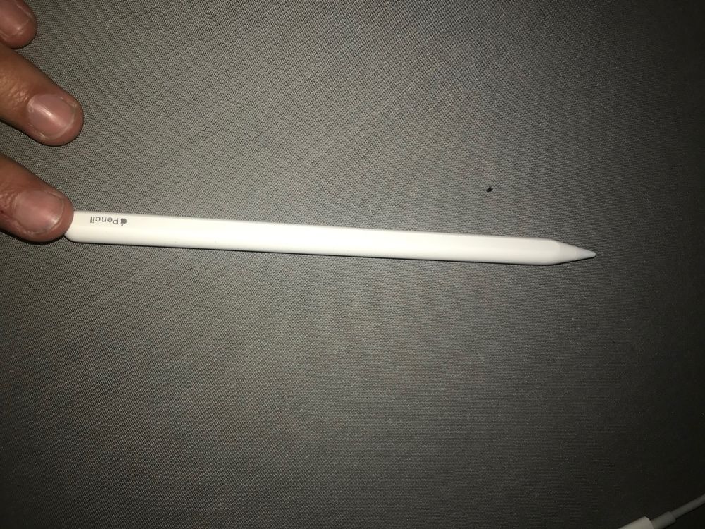 Broken Apple Pen 2nd generation (Gebraucht) in Lausanne für CHF 49 ...