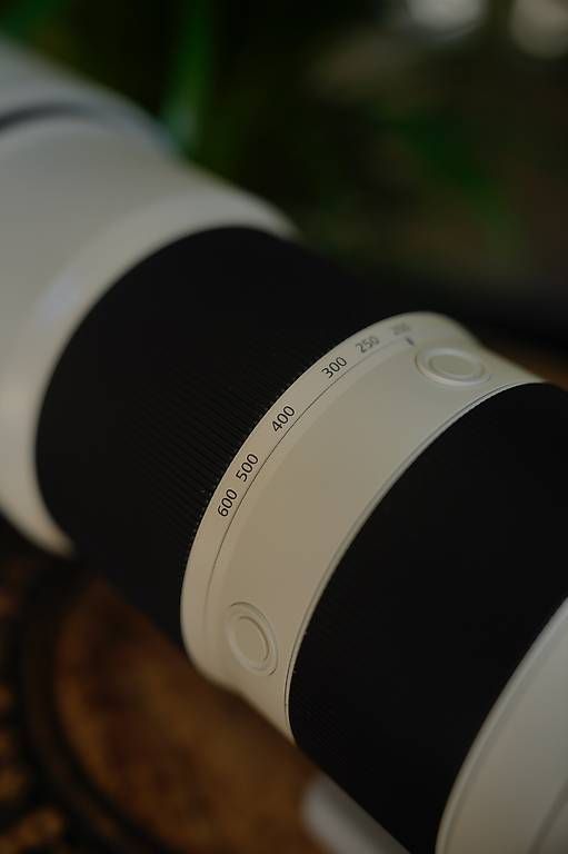 Sony FE 200-600mm f/5.6-6.3 G OSS (D'occasion) à Oberkirch LU pour CHF ...