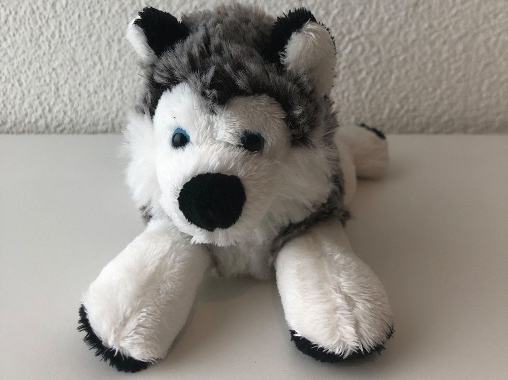 Schaffer Schlittenhund Husky 18 cm (Neu und originalverpackt) in Mellingen für CHF 10 – mit ...