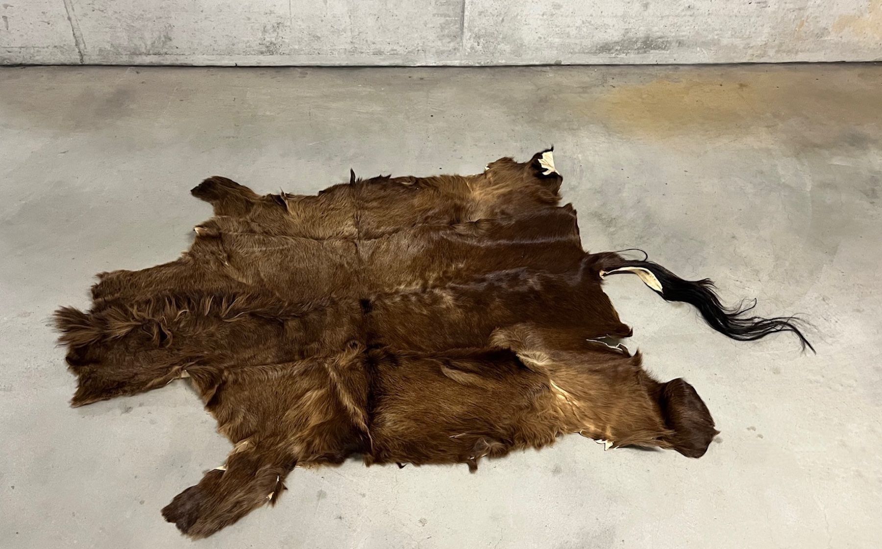 grosses fell mit charakter (Gebraucht) in Allschwil für CHF 650 – nur Abholung auf Ricardo kaufen